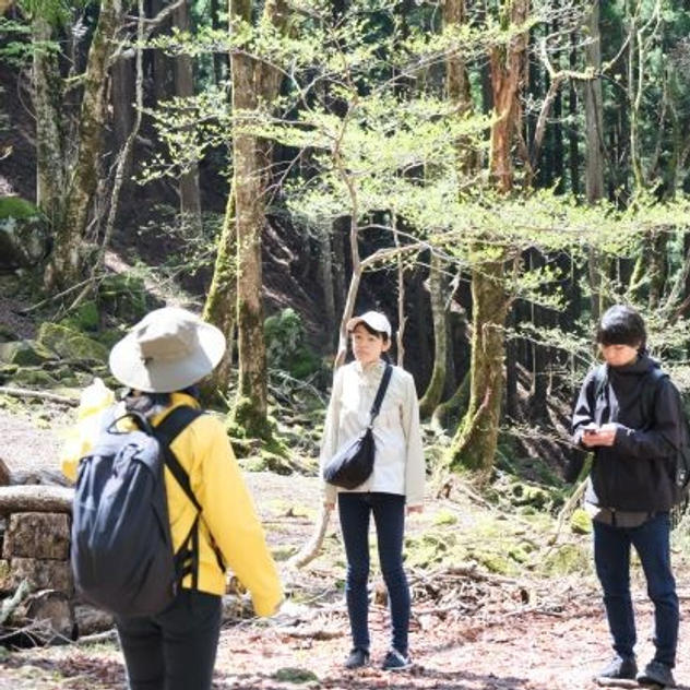 若杉天然林ツアー 村の無人駅に小さな森の博物館を!西粟倉の森の歴史と動植物の標本を展示したい! クラウドファンディング あわ