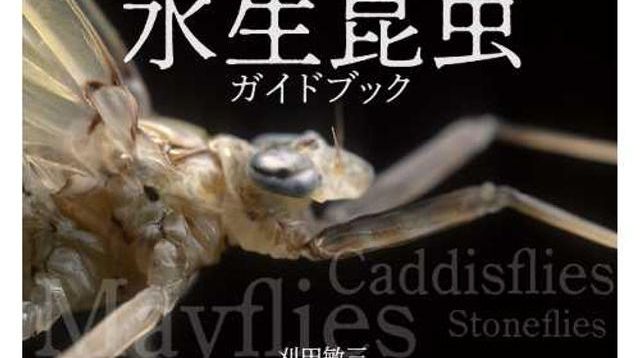 本書1部 - (水生昆虫カメラマンの集大成を、紙の図鑑にして半永久的に残したい！) | クラウドファンディング - 釣りファン ...