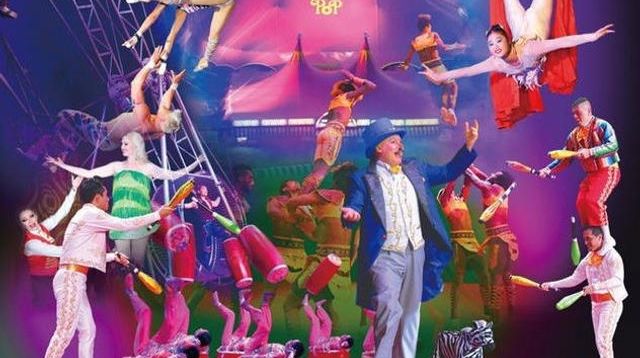 【S席・大人】神戸公演 サーカス鑑賞チケット - (【神戸公演】未来のサーカスアーティストを応援！あなたのサーカス鑑賞が育成制度の拡充・支援に繋がる！) | クラウドファンディング ...